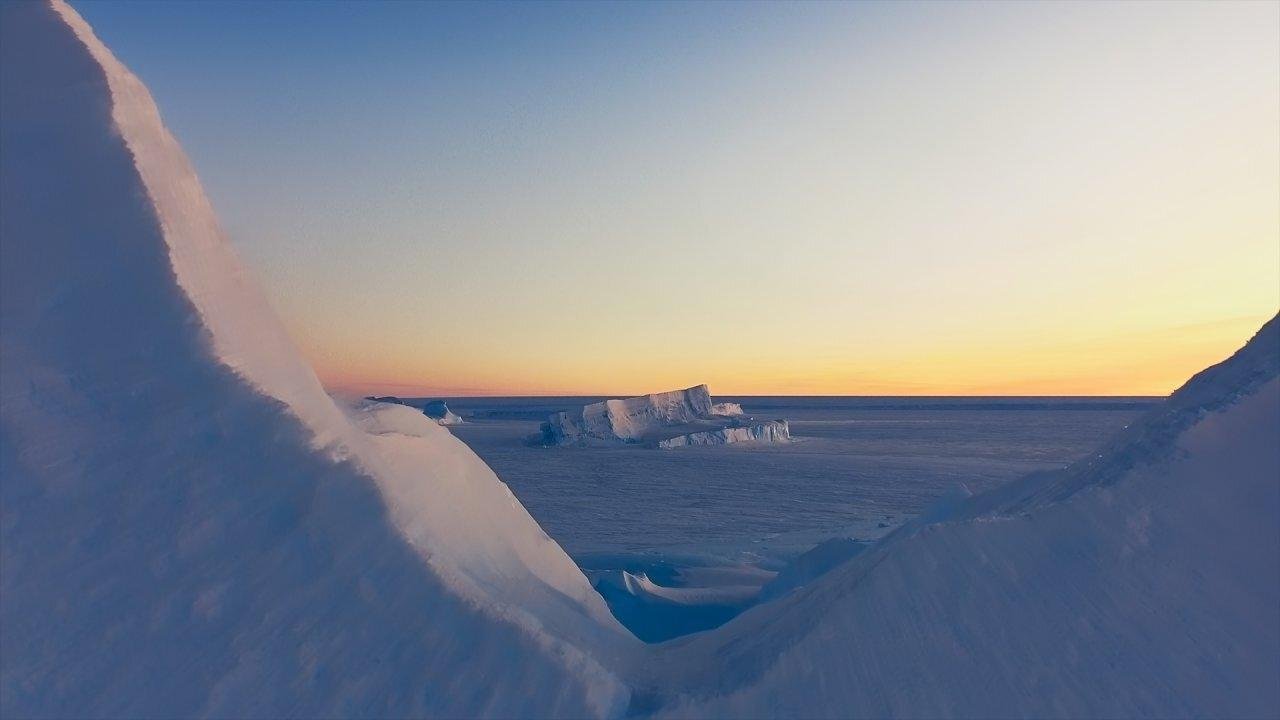 Antarctica · Film 2020 · Trailer · Kritik