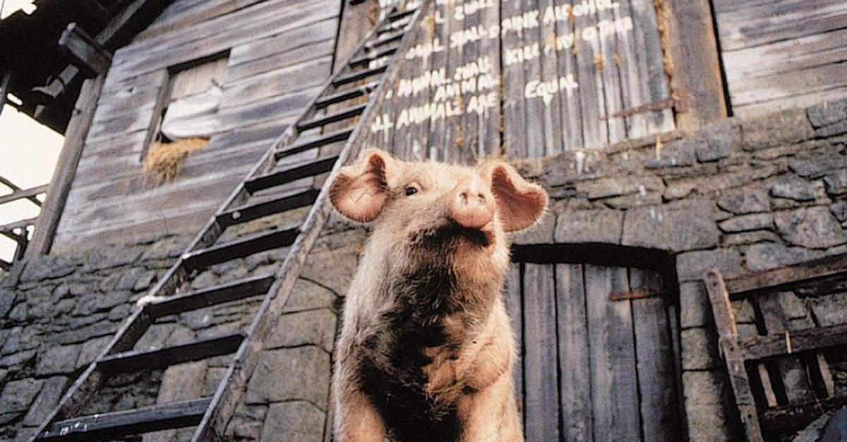 Animal Farm · Film 2000 · Trailer · Kritik