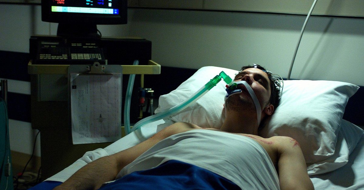 Freakdog · Film 2008 · Trailer · Kritik