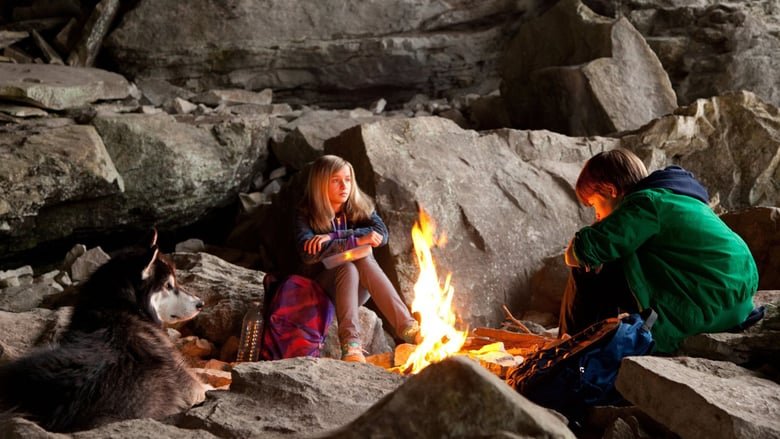 Against the Wild · Film 2014 · Trailer · Kritik
