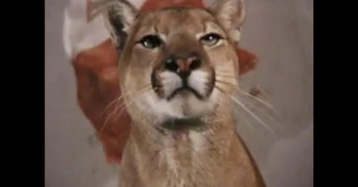 Der einsame Puma · Film 1967 · Trailer · Kritik