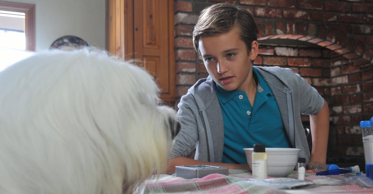 Abner, the Invisible Dog · Film 2014 · Trailer · Kritik