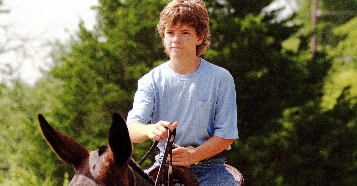 Tommy and the Cool Mule · Film 2010 · Trailer · Kritik