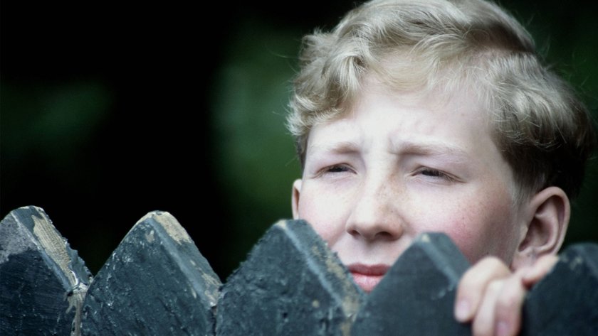 Ehemals Kinderstar, heute TV-Liebling: Das macht der Junge aus "Das ...